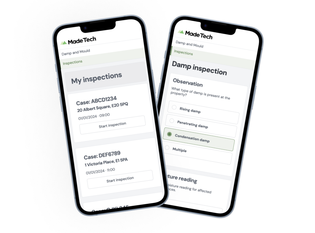 Damp and Mould inspections